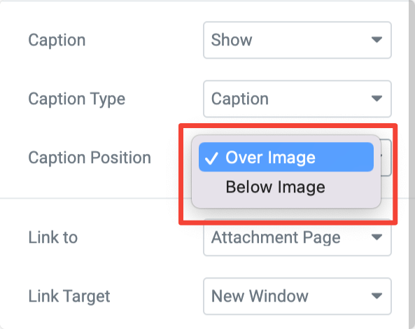 Tabbed Gallery Widget Overview - PowerPack Addons for Elementor